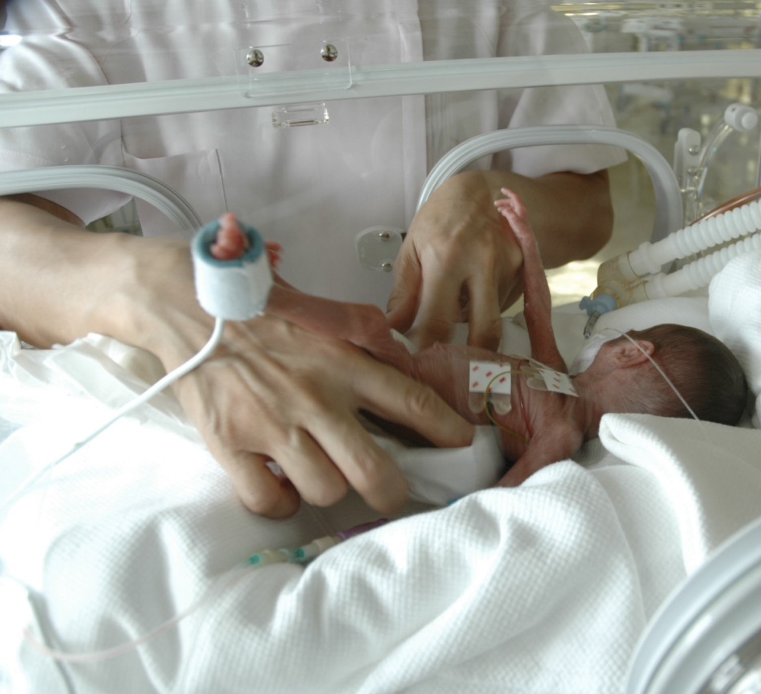 第5回応援団の集い：NICU看護師長 | 一般社団法人 未熟児家族支援・がんばりっこ